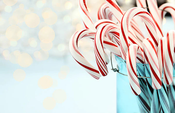 Candy Cane Fragrance Oil – The Natures Treasure